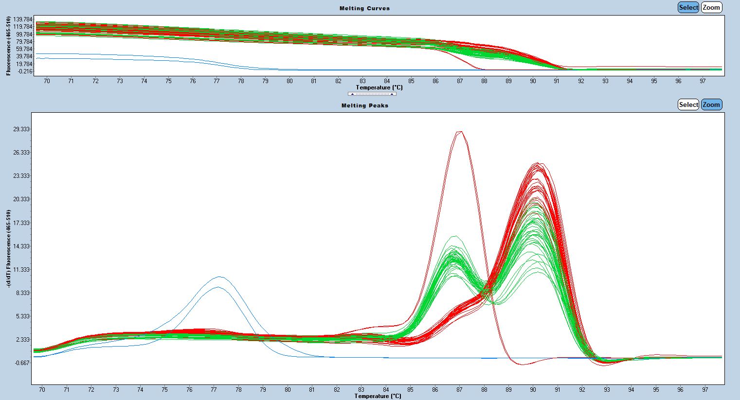 Protocol 39963 - Gt(ROSA)26Sor