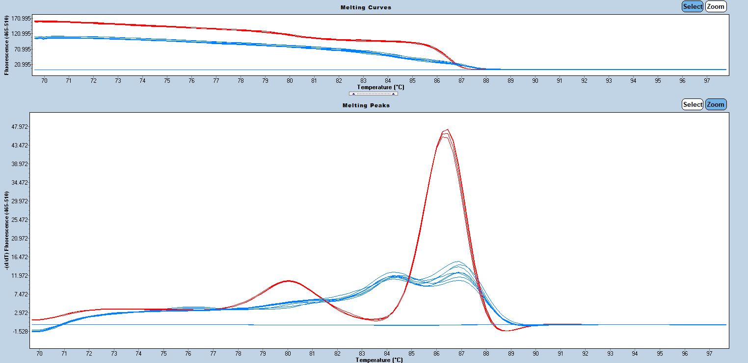 Protocol 42449 - Gfral