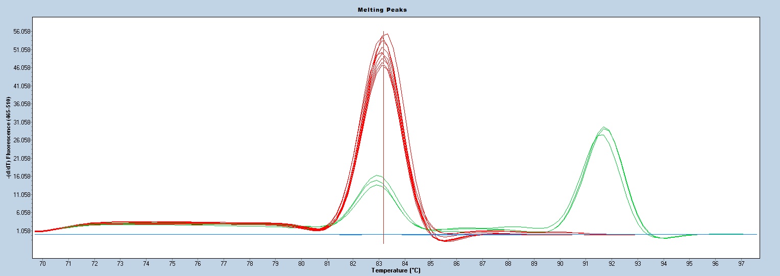 Protocol 42572 - Tg(Cx3cl1-EGFP/Rpl10)ES26Htz