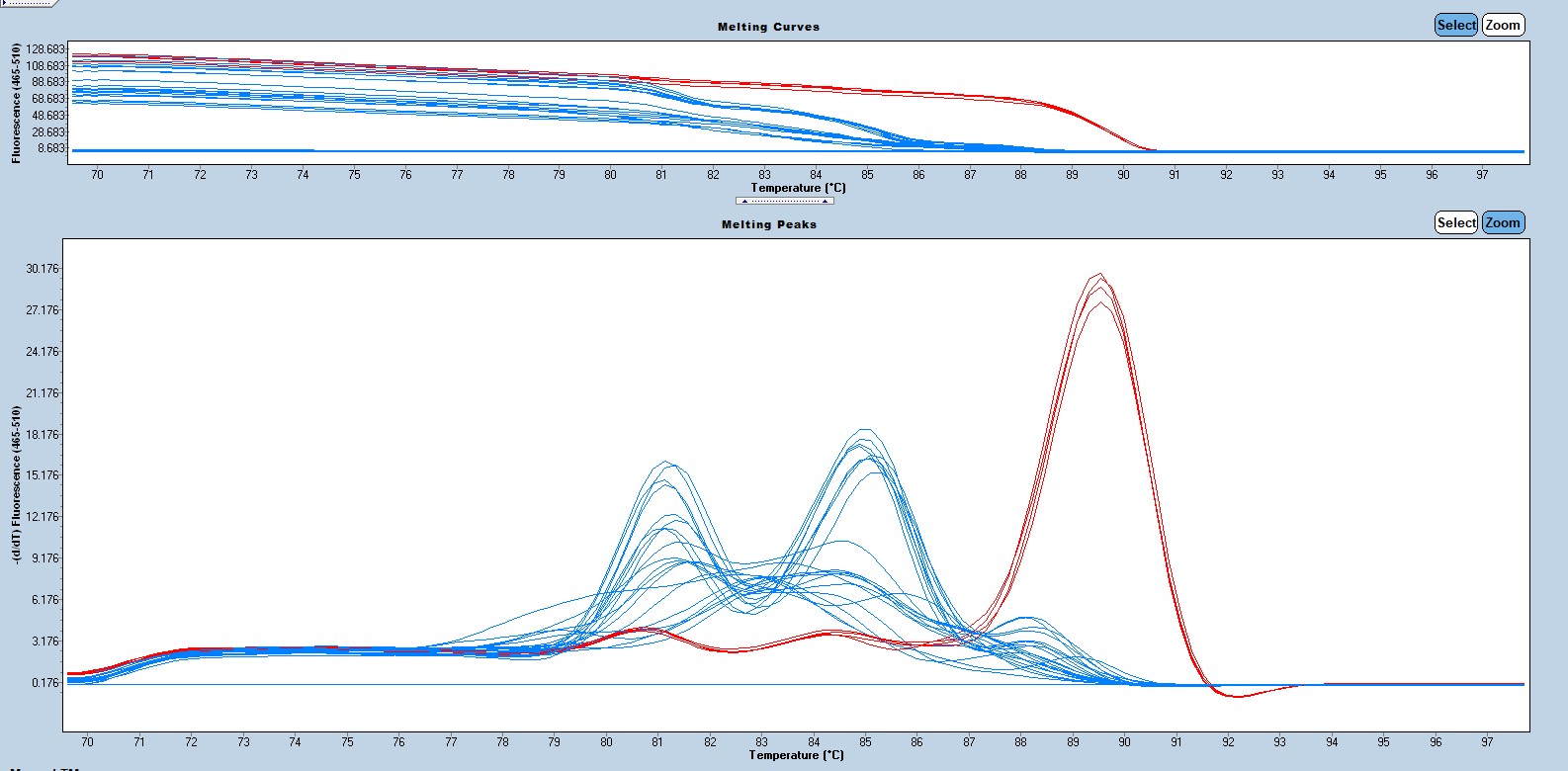 Protocol 45554 - Gt(ROSA)26Sor Alternate2