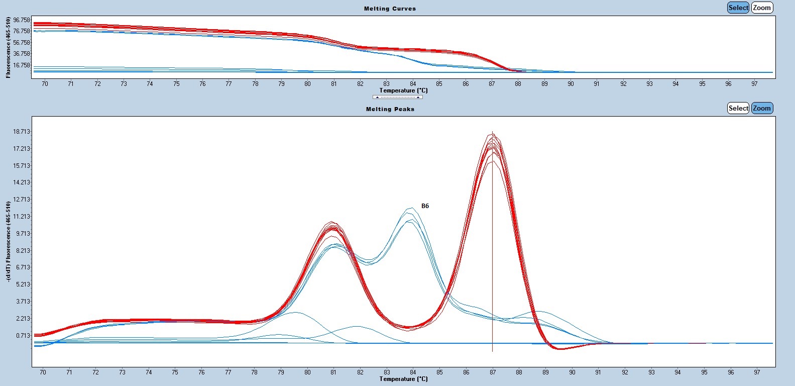 Protocol 46060 - Cacna1h Alt 1