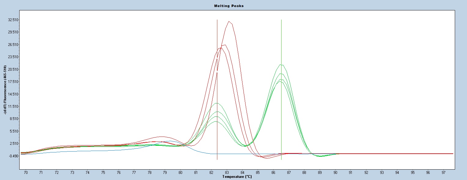 Protocol 18271 - Tg(CDX2-Cre/ERT2)752Erf alternate2