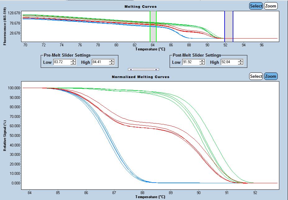 Protocol 21509 - Gt(ROSA)26Sor -Alternate 2