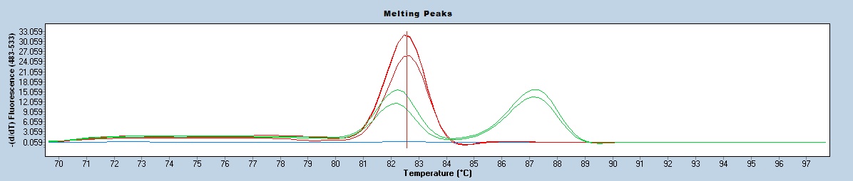 Protocol 24275 - Tg(GFAP-cre/ERT2)