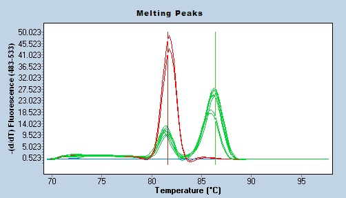 Protocol 26052 - Tg(Prdm1-cre)