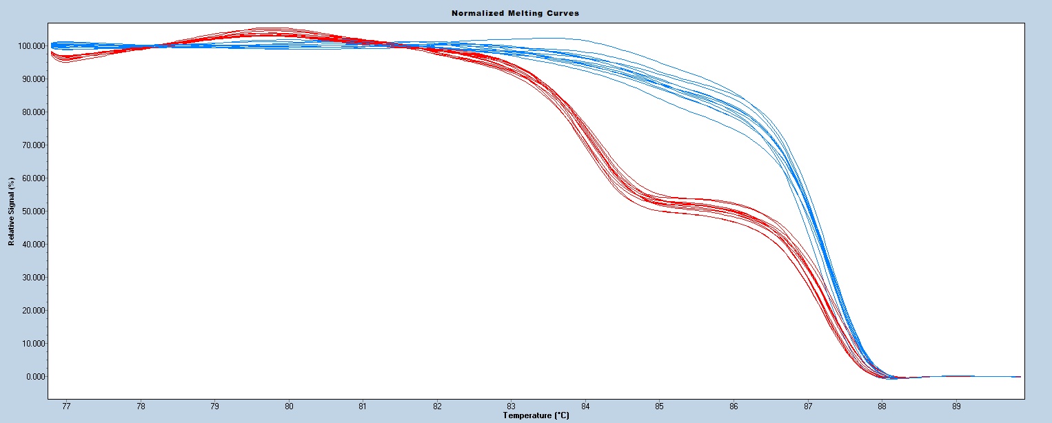 Protocol 27653 - Generic SV40 TAg 1