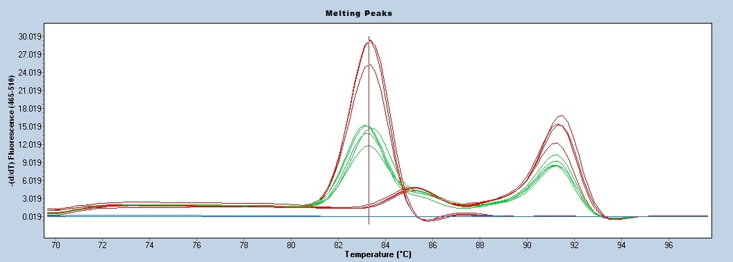 Protocol 27783 - Dlgap3 -Alternate 2
