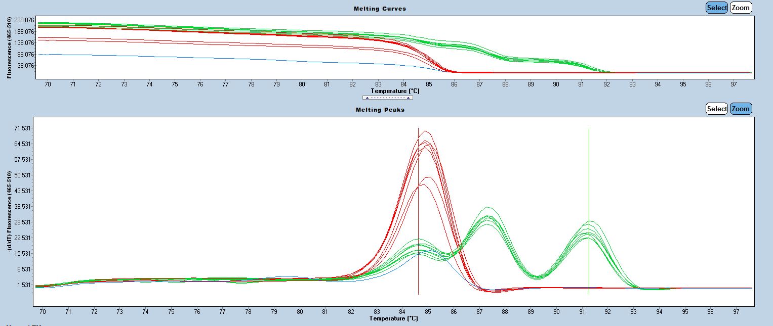 Protocol 28470 - Tg(Gfap-cre)77.6Mvs