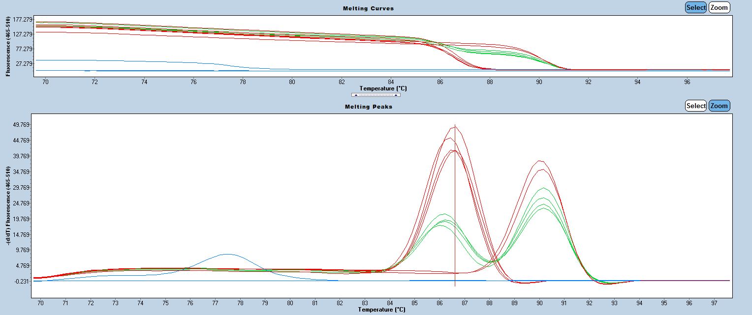 Protocol 28472 - Acan